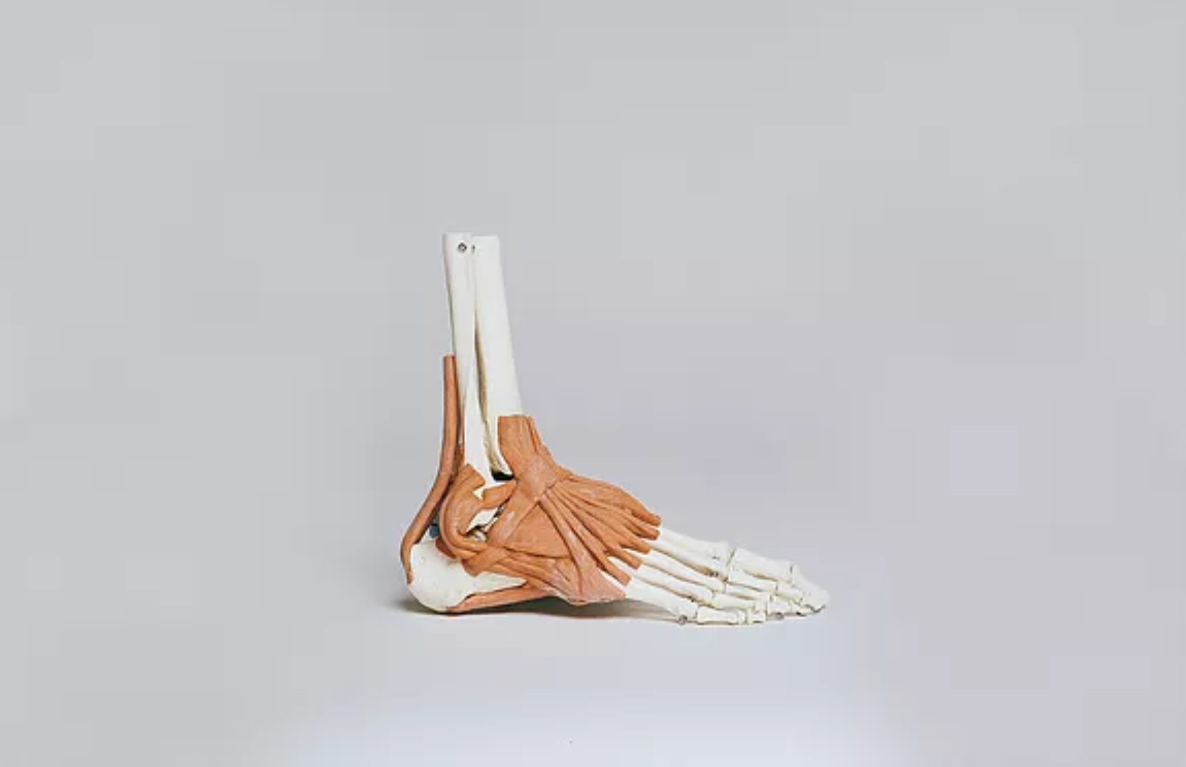PROPER FIT EXPLAINED: YOU DON’T HAVE A SHOE SIZE; YOU HAVE A FOOT SIZE ...